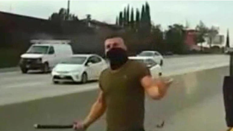 California Tesla road rage driver sentenced in Hawaii; LA victims ...