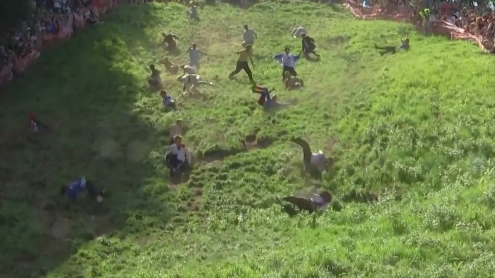 Tumbling down a steep hill to catch a wheel of cheese!