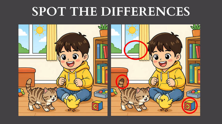 Observation challenge: Spot 3 differences in 37 seconds!