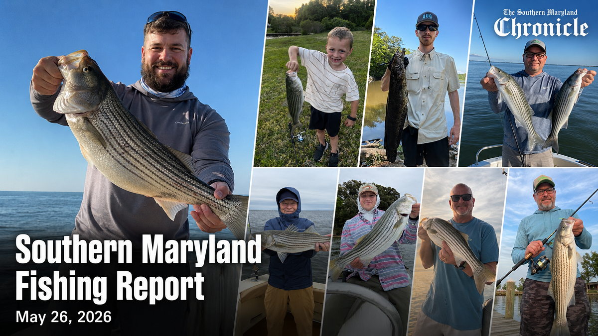 St. Mary's Tacklebox reports strong rockfish action across southern ...
