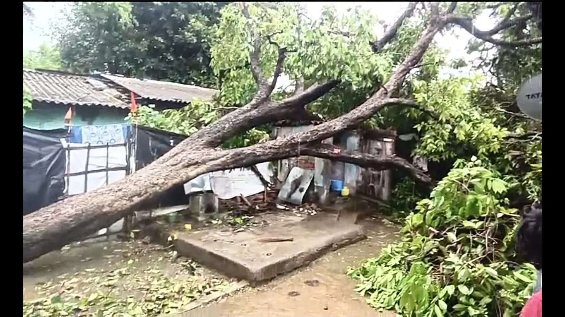 5 die as cyclonic storm batters Bhagalpur, cripples rail services