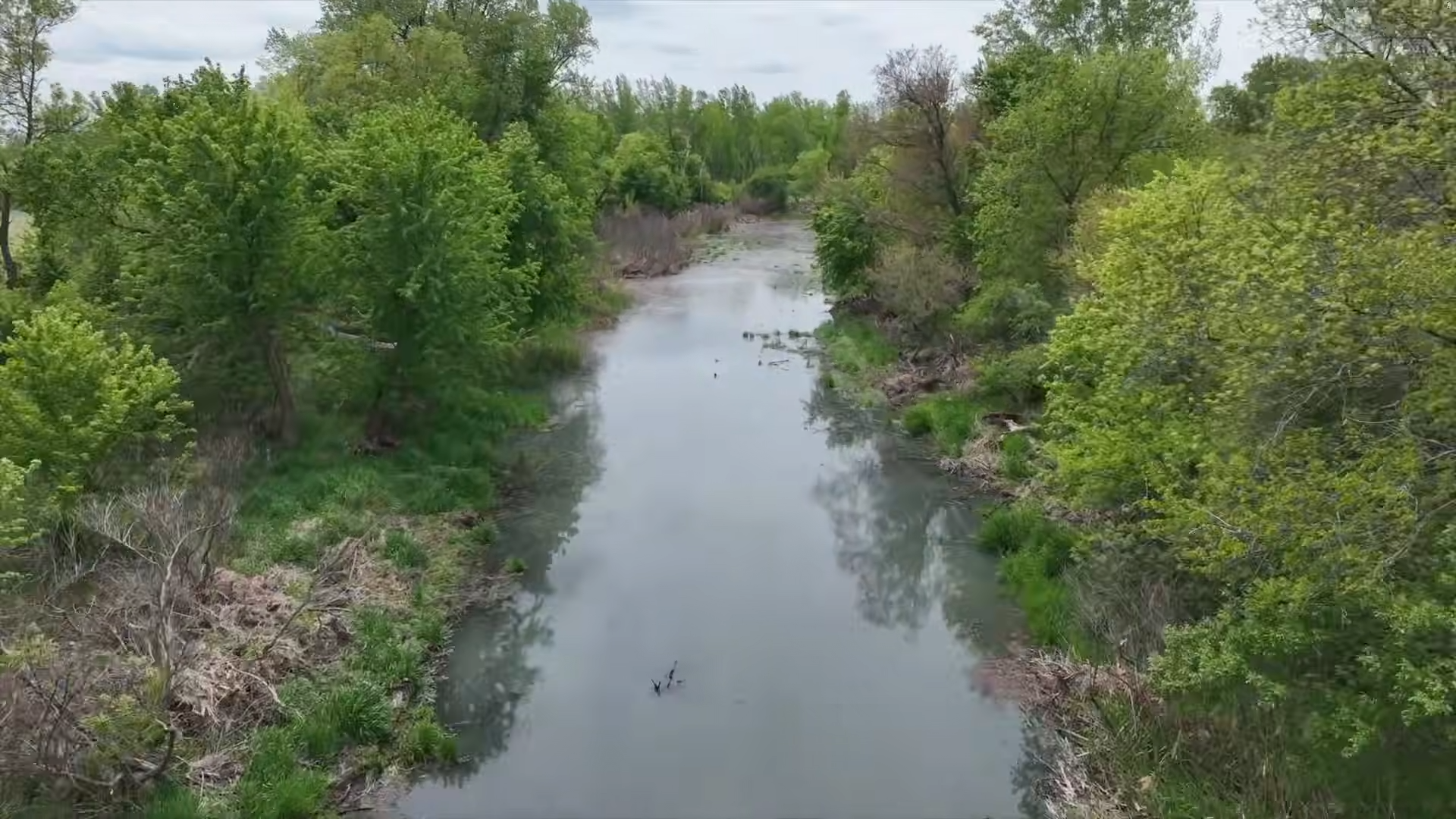 The new river on my farm completely dried up