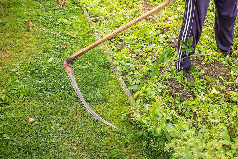 Why people are cutting their grass with scythes