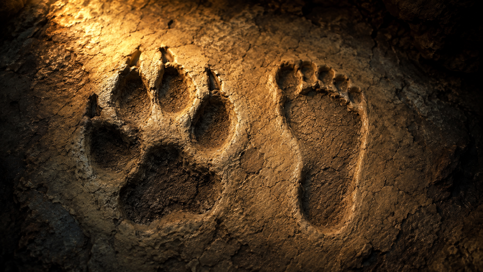 A child and a wolf left 26,000-year-old footprints together in a French ...