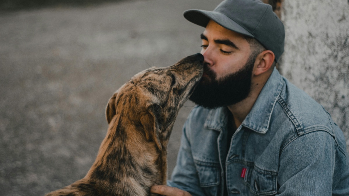 These are the 10 personality types that connect more with dogs than cats