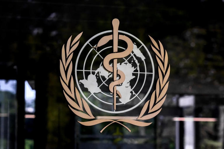 Trump admin orders US researchers to cut ties with the World Health ...