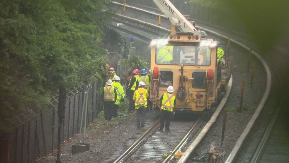 Metro resumes normal operations after fallen tree near Arlington ...