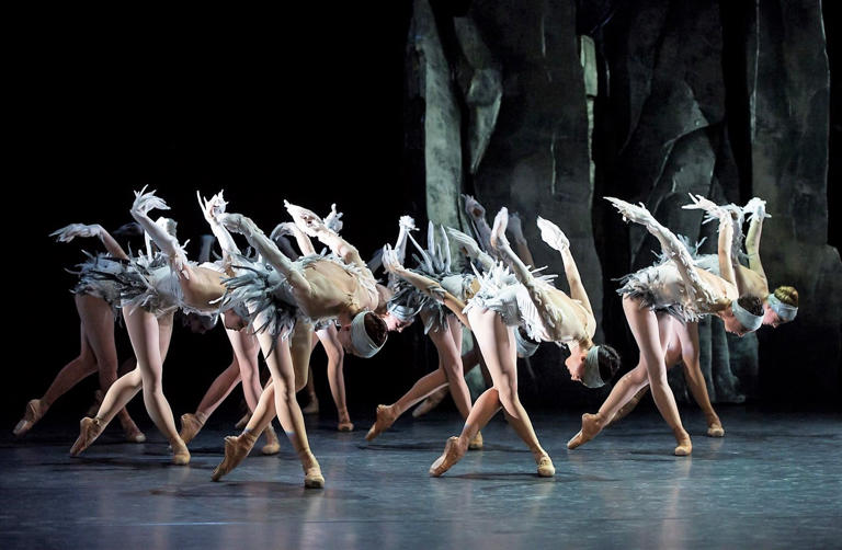 Why 'Swan Lake' is reinterpreted
