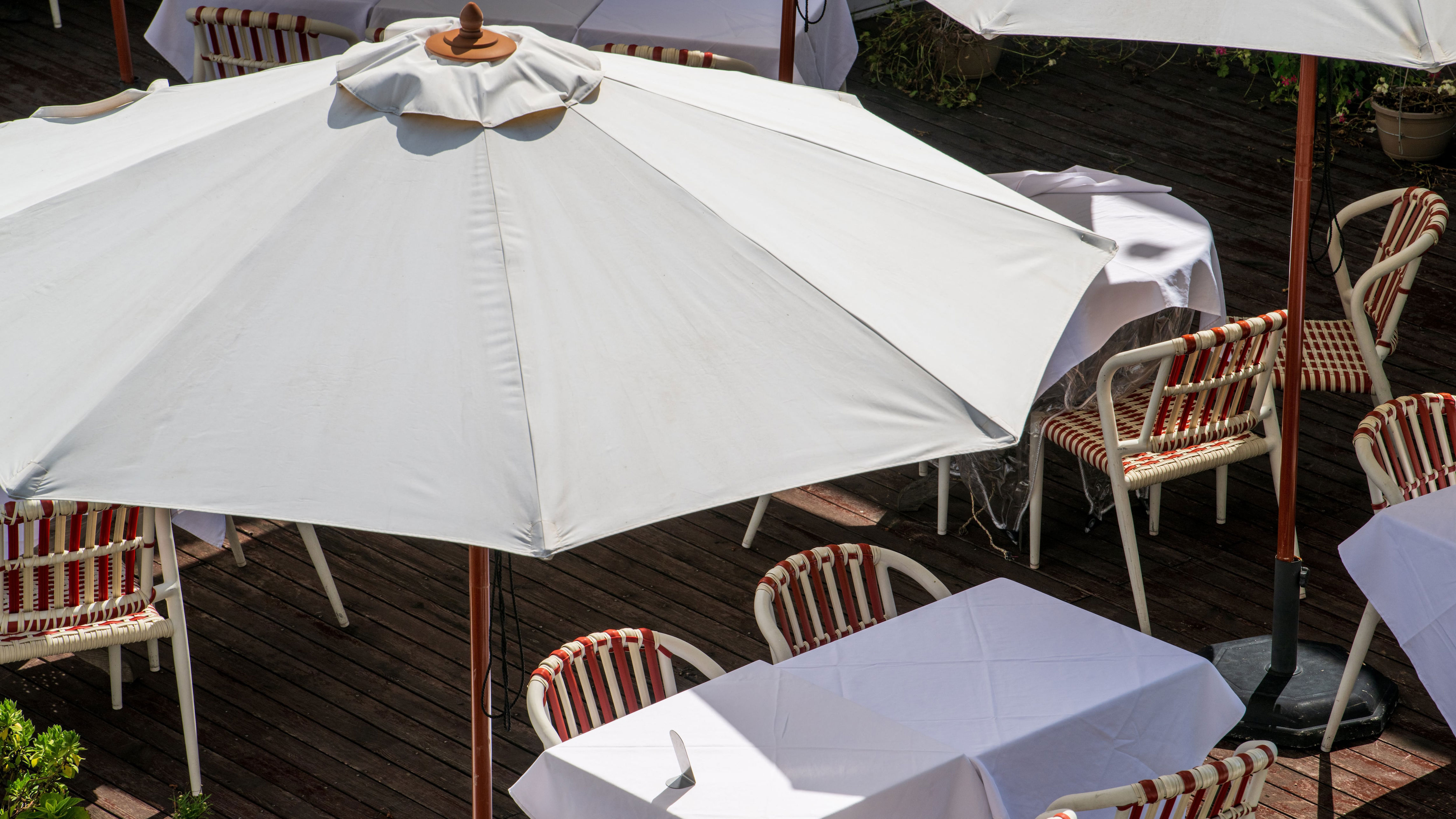 Woman killed by flying umbrella while dining at restaurant