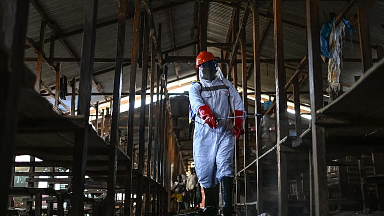 Uganda shuts border with DR Congo as cases of rare Ebola type surge