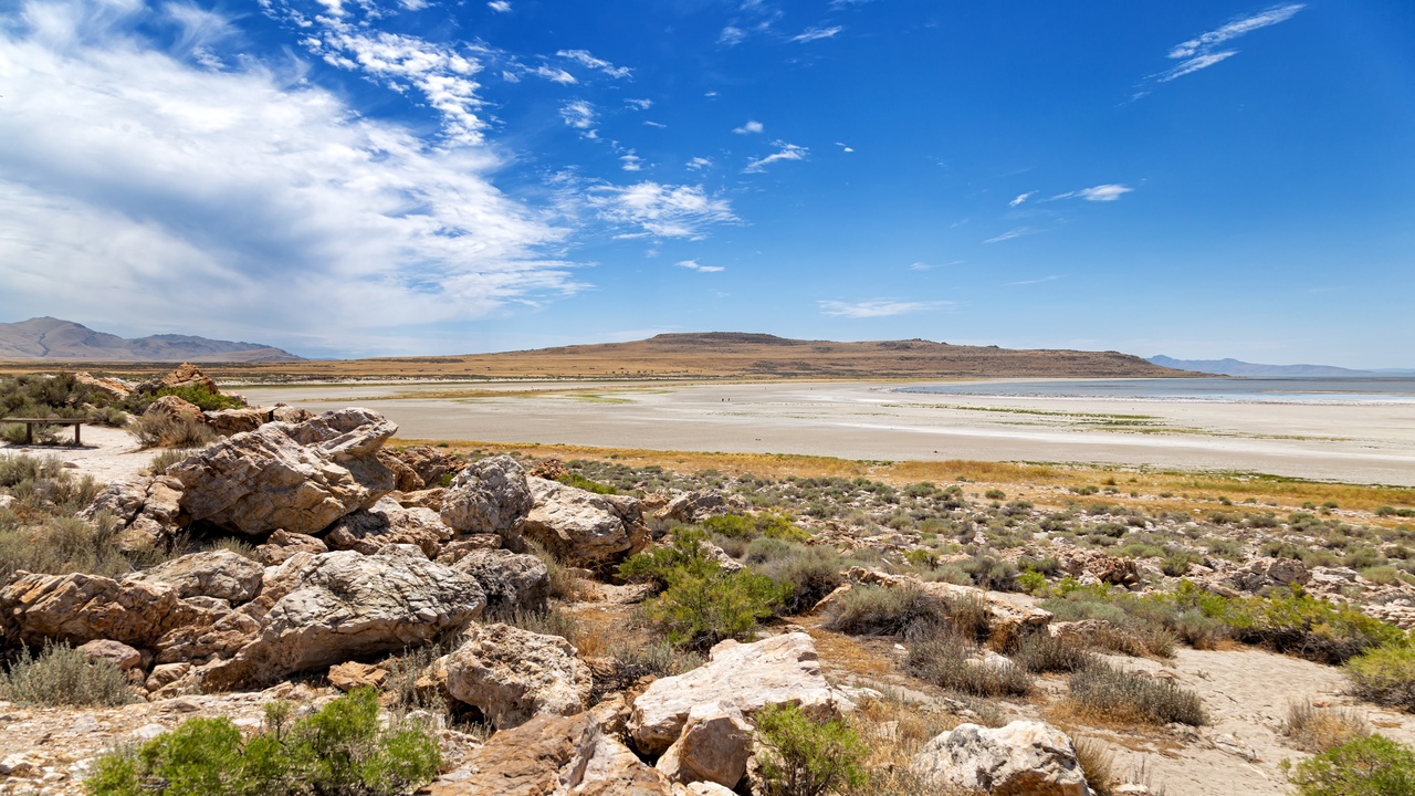 Utah’s Great Salt Lake has a wild island with 600 bison, but most ...
