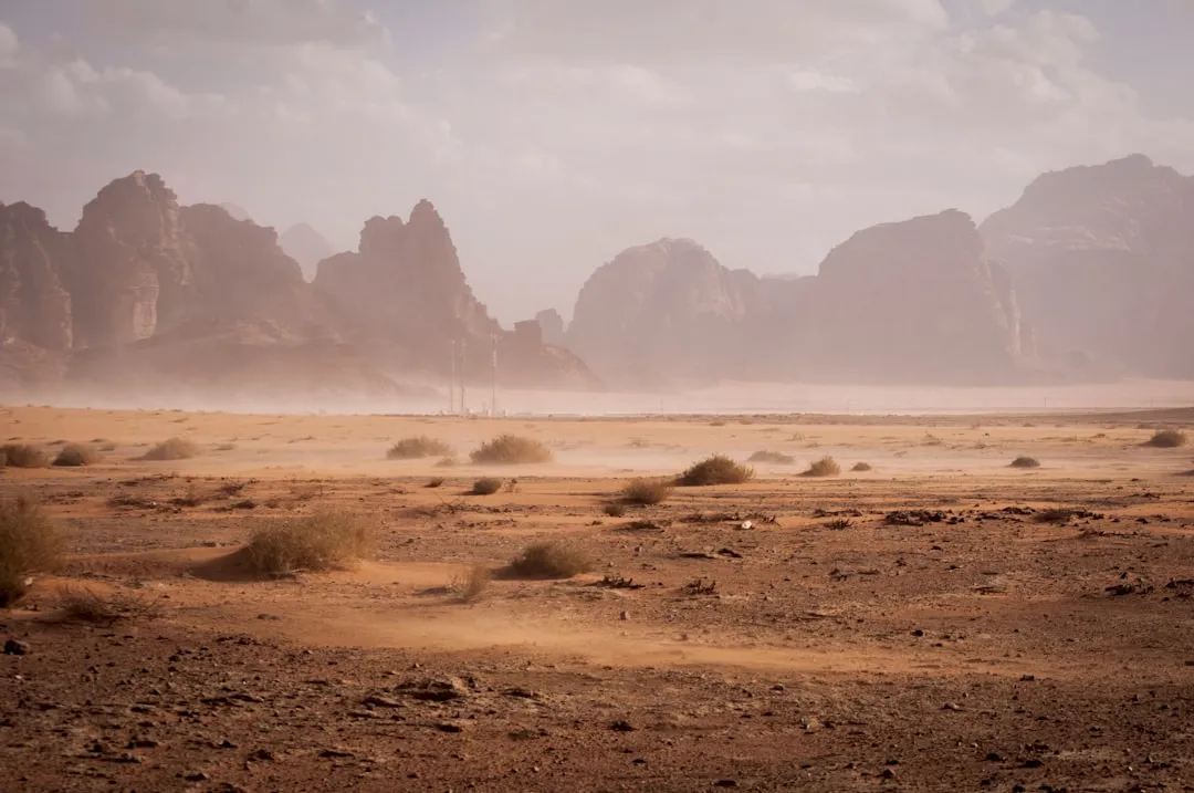 The shared silence of a desert sky: Finding common ground in quiet places