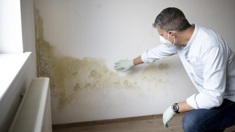 The gross things mold spores can do to your body