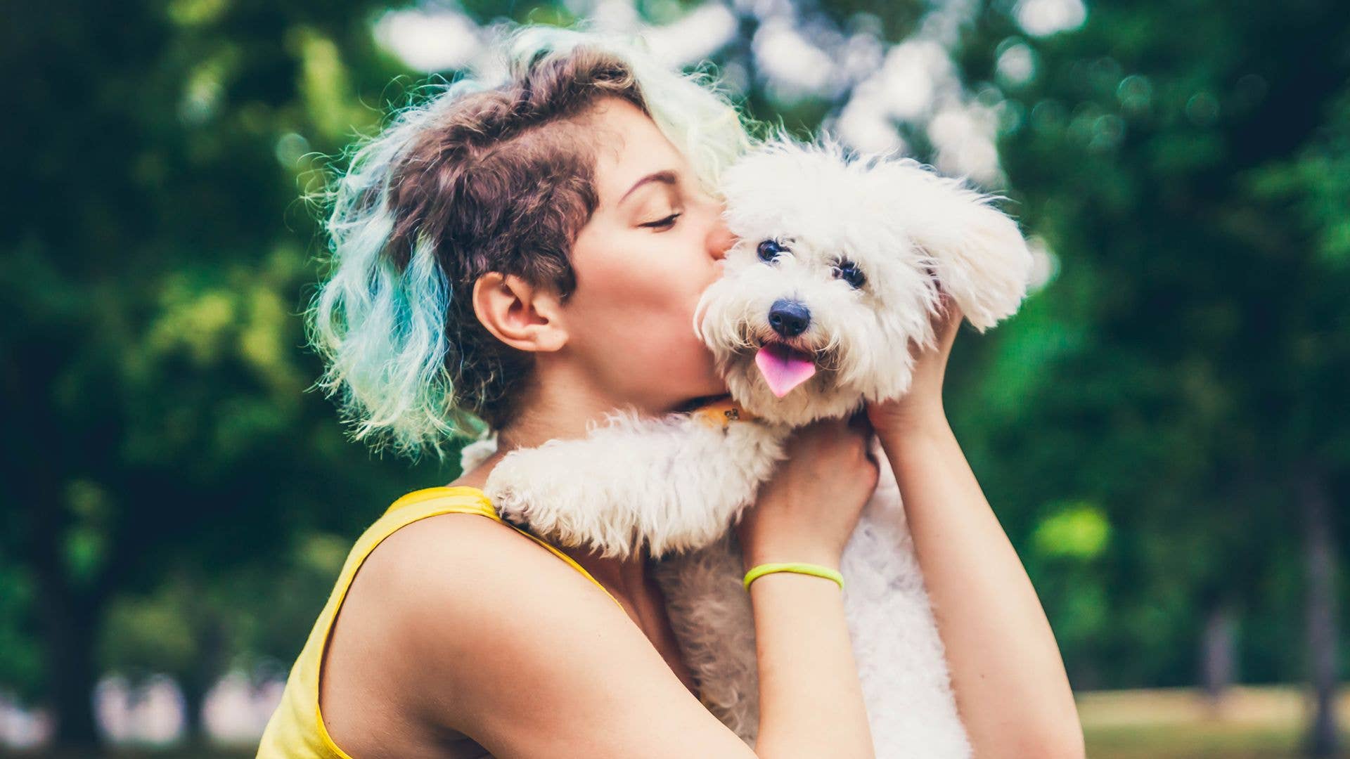7 dog breeds most at risk of harm due to heatwave grooming mistakes