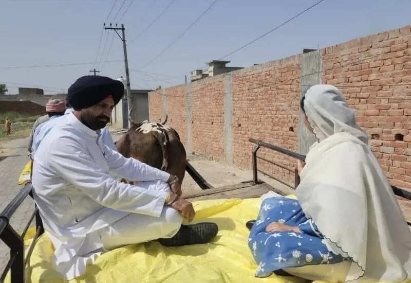 Warring rides bullock cart to cast vote in Muktsar