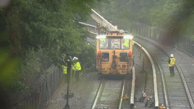 Metro resumes normal operations after fallen tree near Arlington ...