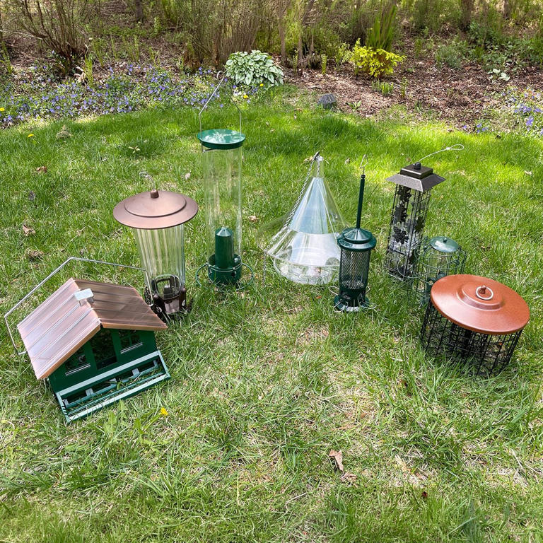 The best squirrel-proof bird feeders, plus 12 deterrent tips that ...
