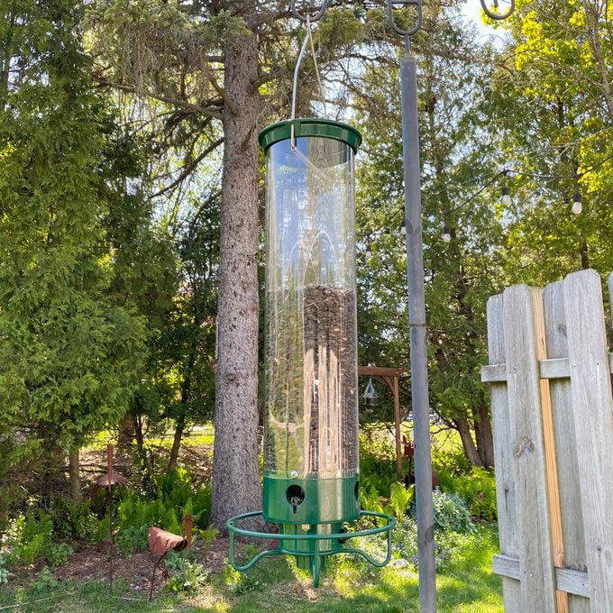 The best squirrel-proof bird feeders, plus 12 deterrent tips that ...