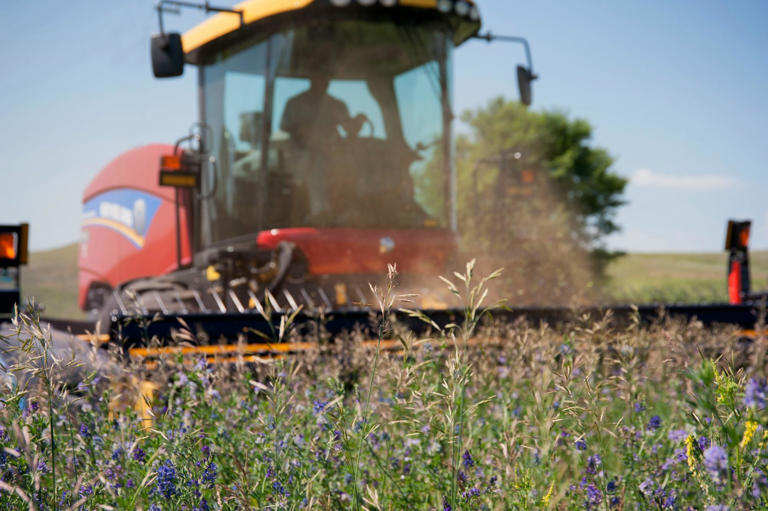 Landwirt entdeckt Leiche im hohen Gras: Polizei steht vor Rätsel