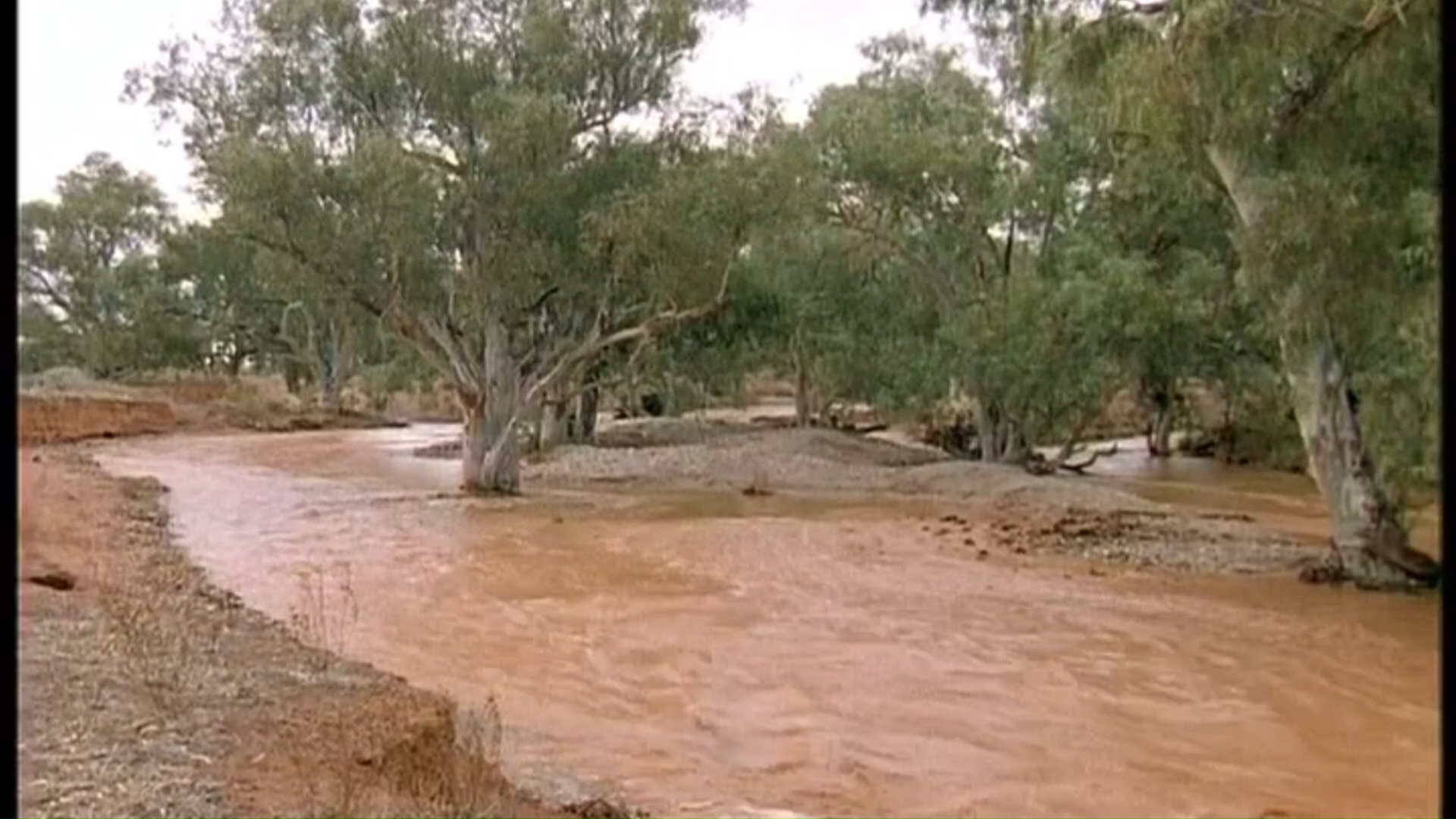The monsoon