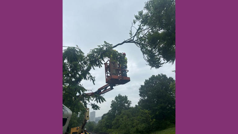 Crews remove downed tree over Metro tracks near Arlington National Cemetery