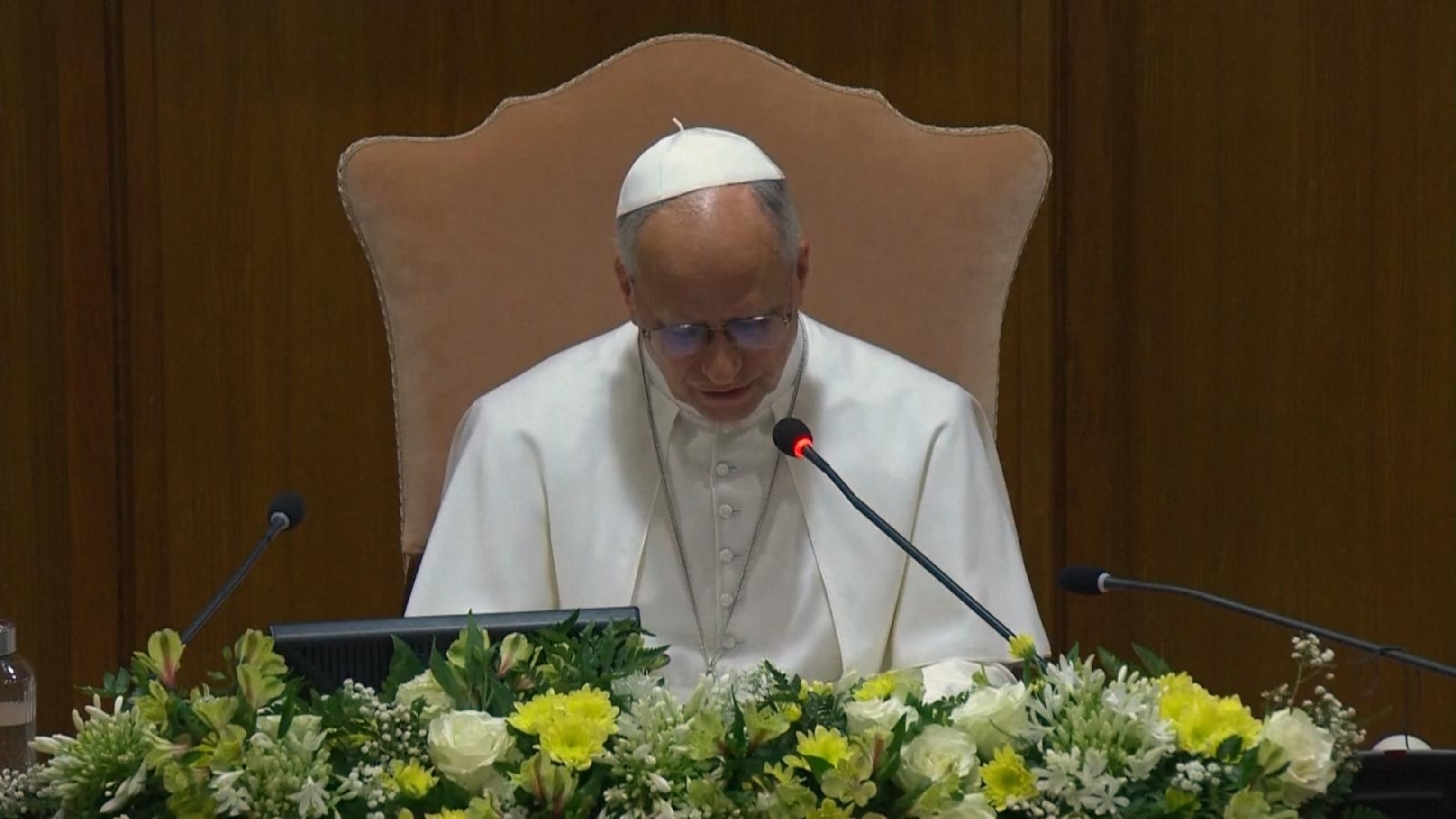 Vatican consultant on Pope Leo's warning about AI