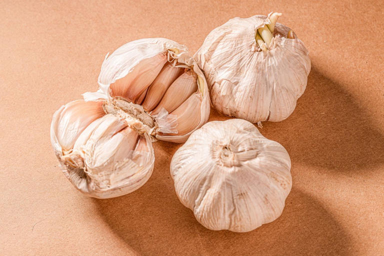 The only way you should store garlic to keep it from sprouting ...