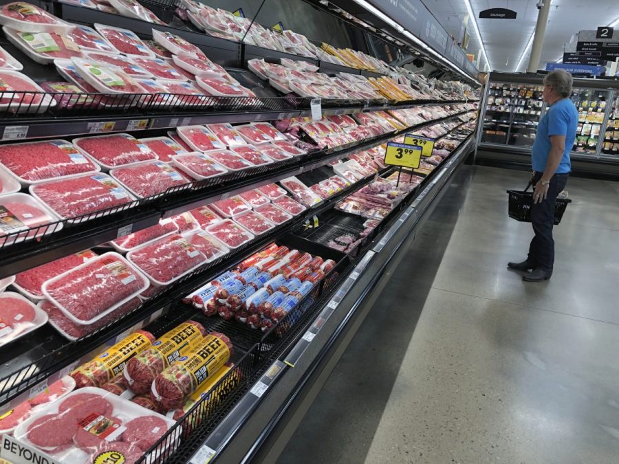 Lab-grown vs. animal derived meat: Understanding the differences