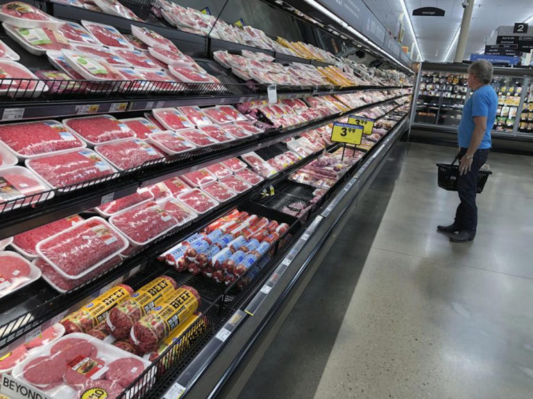 Lab-grown vs. animal derived meat: Understanding the differences