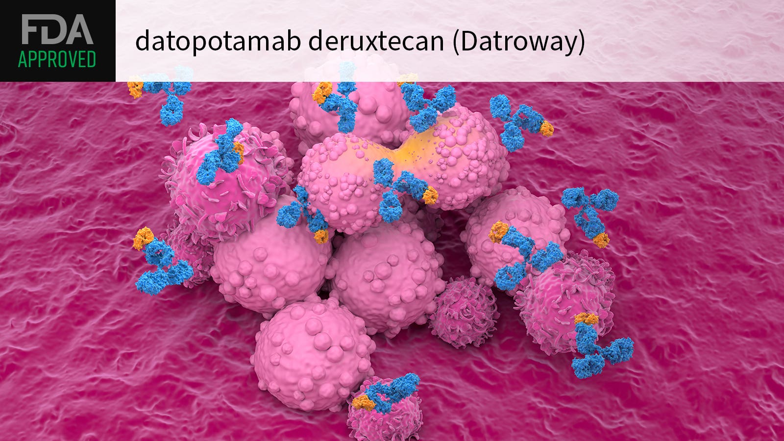 New first-line option approved in triple-negative breast cancer