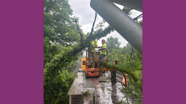 Crews remove downed tree over Metro tracks near Arlington National Cemetery