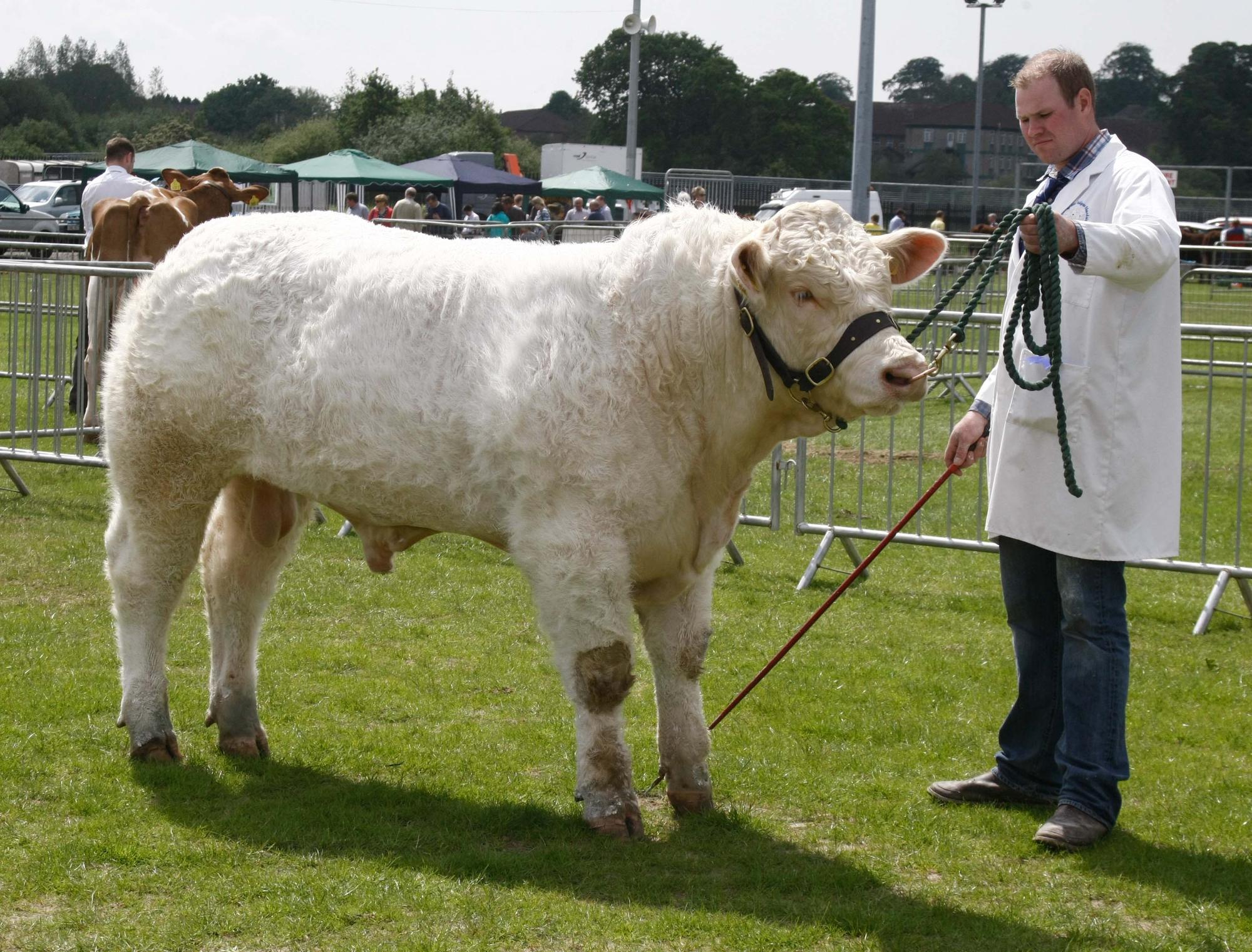 20 farming life photos from 2014 that tell an interesting story
