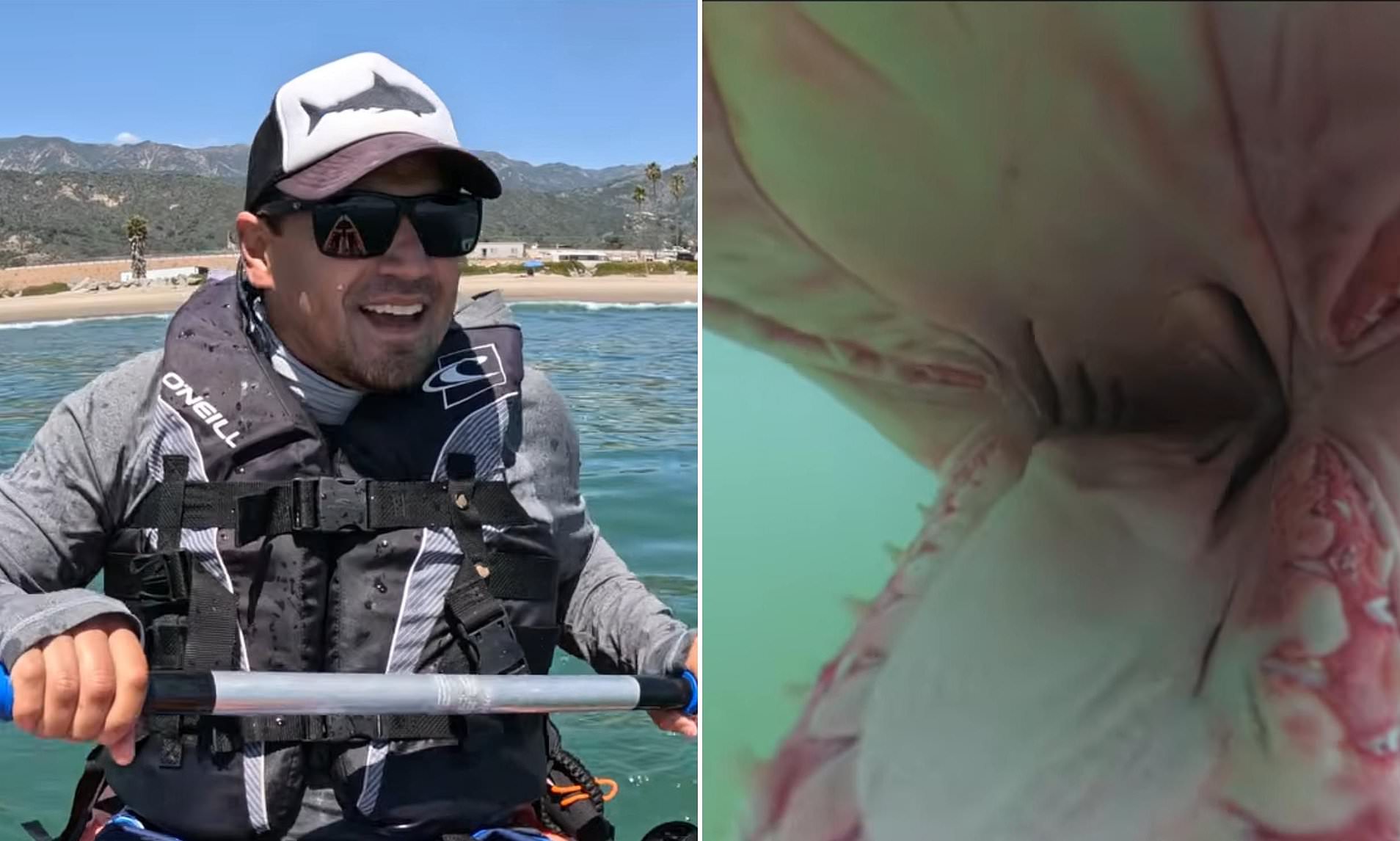 Filmmaker gets too close for comfort as great white shark bites his ...