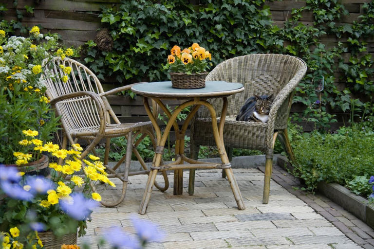 Real estate experts say this simple backyard upgrade adds the most ...