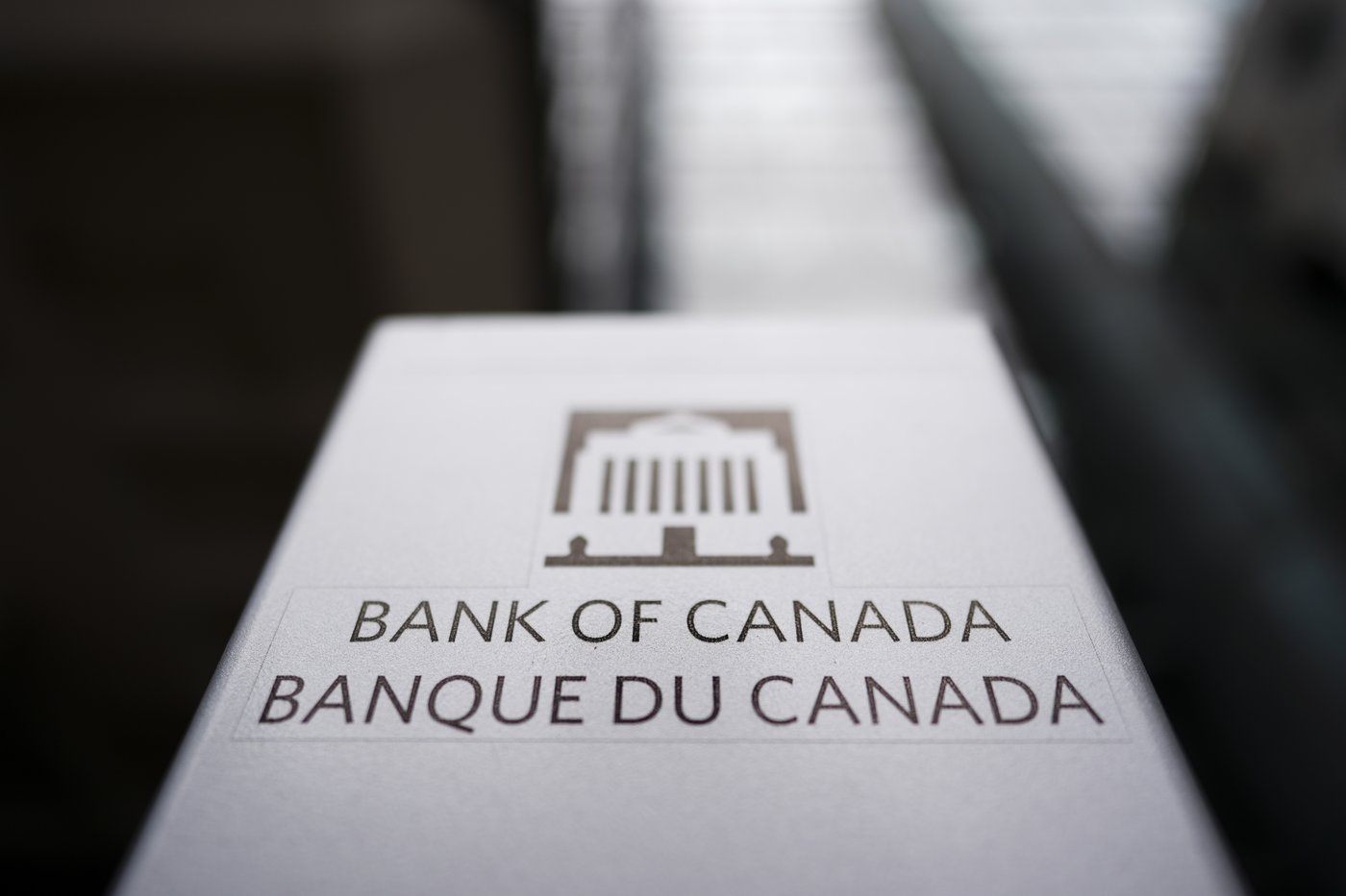 Education, training need rethinking amid changing job market dynamics: BoC