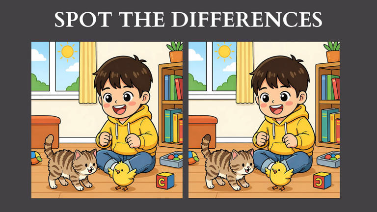 Observation challenge: Spot 3 differences in 37 seconds!