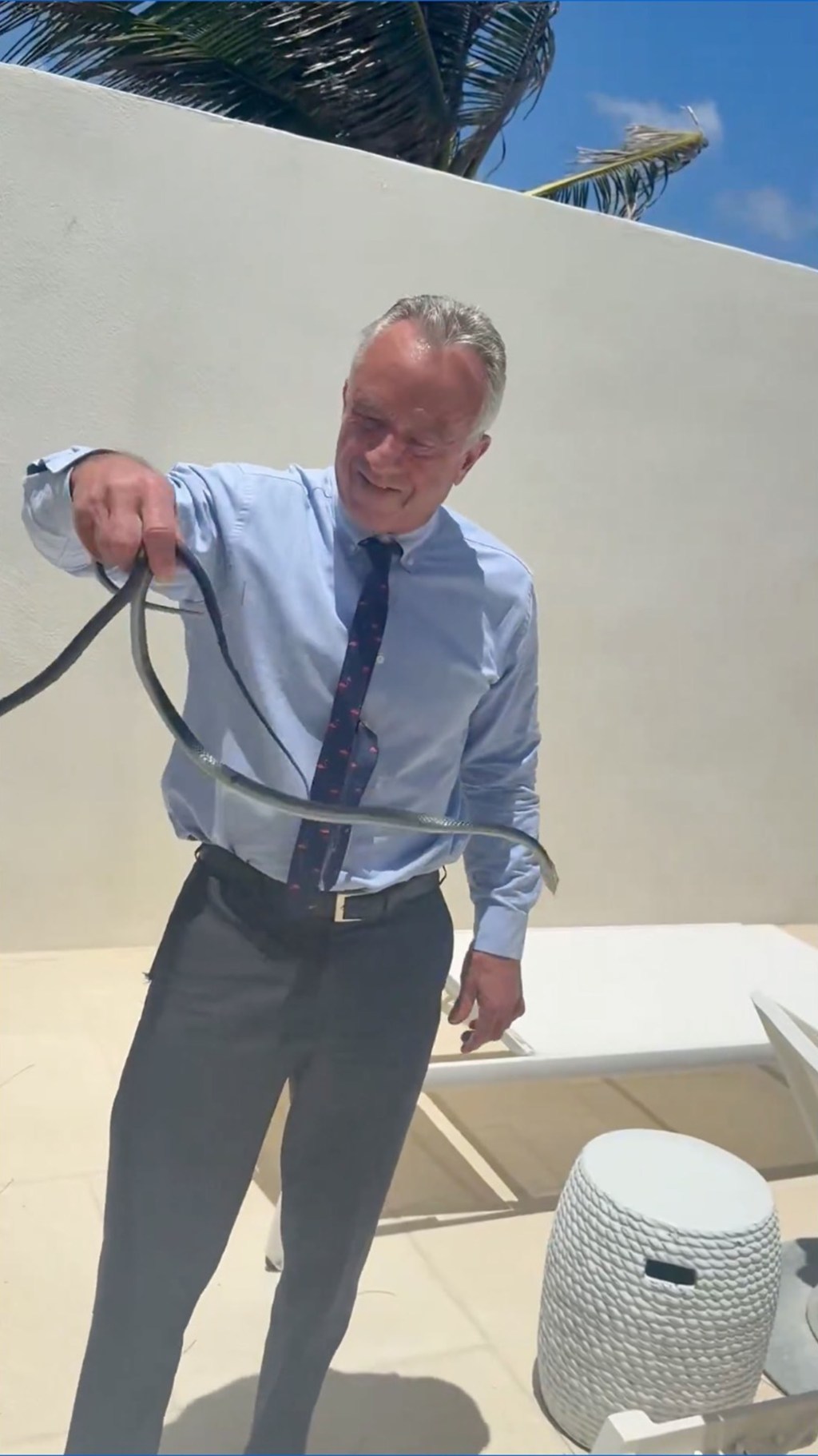 RFK Jr. snatches two black racer snakes off Dr. Oz’s patio in bonkers video