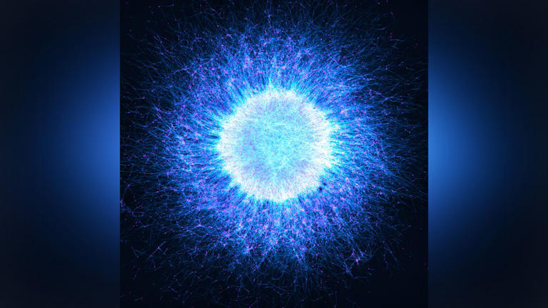 Microscopic contest-winning image reveals intriguing parallels between ...