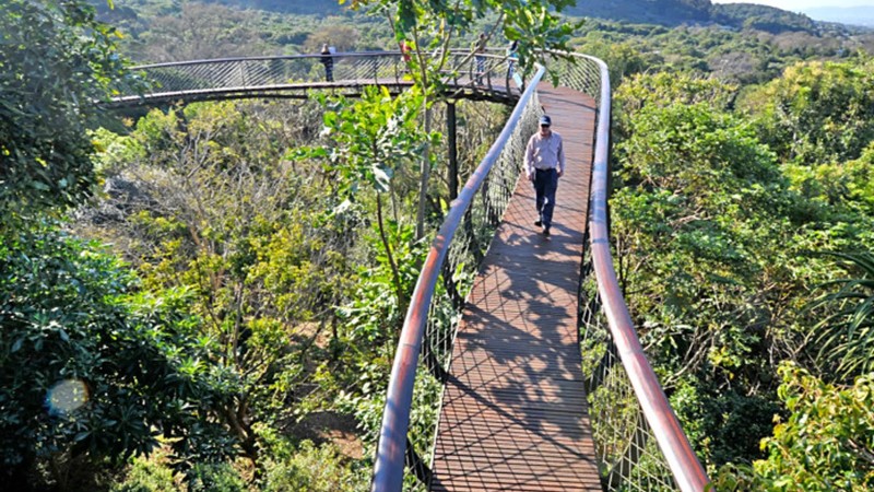 SANBI 'in denial' over neglect at Kirstenbosch Botanical Gardens ...