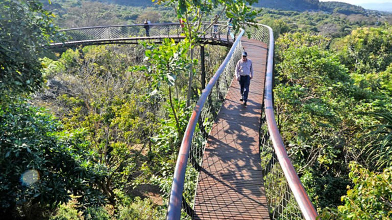 SANBI 'in denial' over neglect at Kirstenbosch Botanical Gardens ...