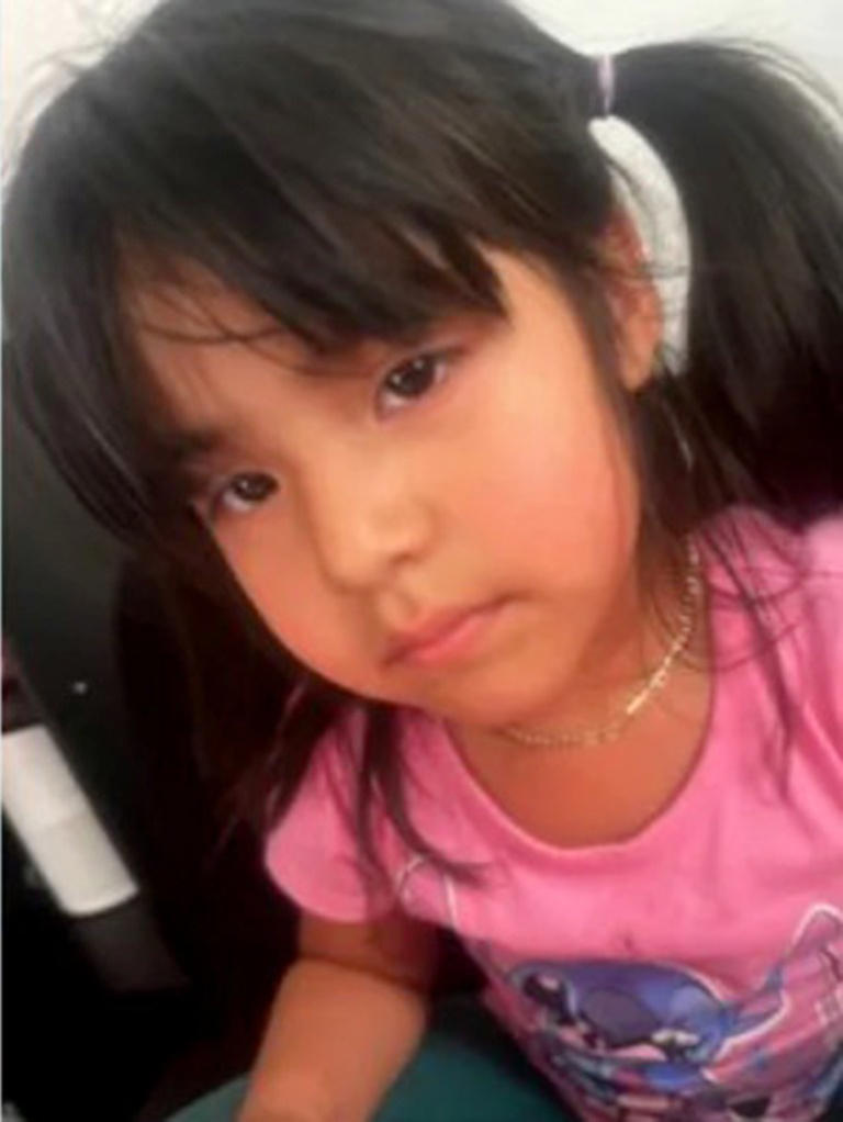 Race against time to snare California dad who 'abducted' daughter, 4 ...
