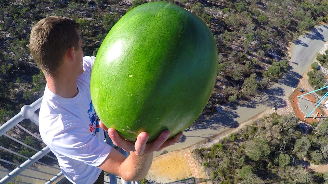 Reckless man drops a watermelon from 150 ft - it almost ends tragically