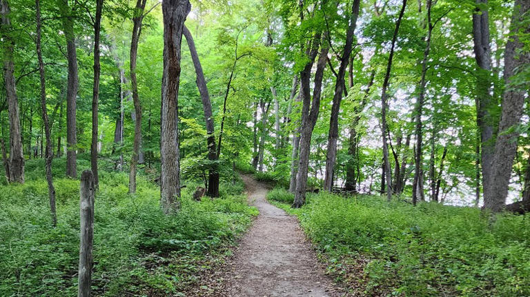 Minnesota's wildly underrated island state park is a beauty with ...