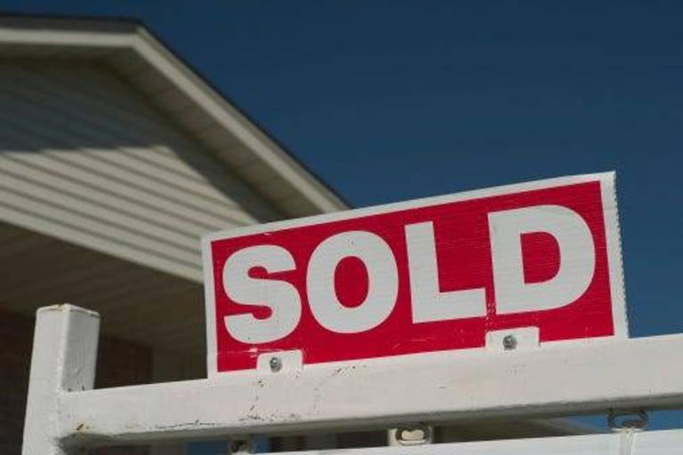 Large scale townhome project headed to Amherst's Muir Woods