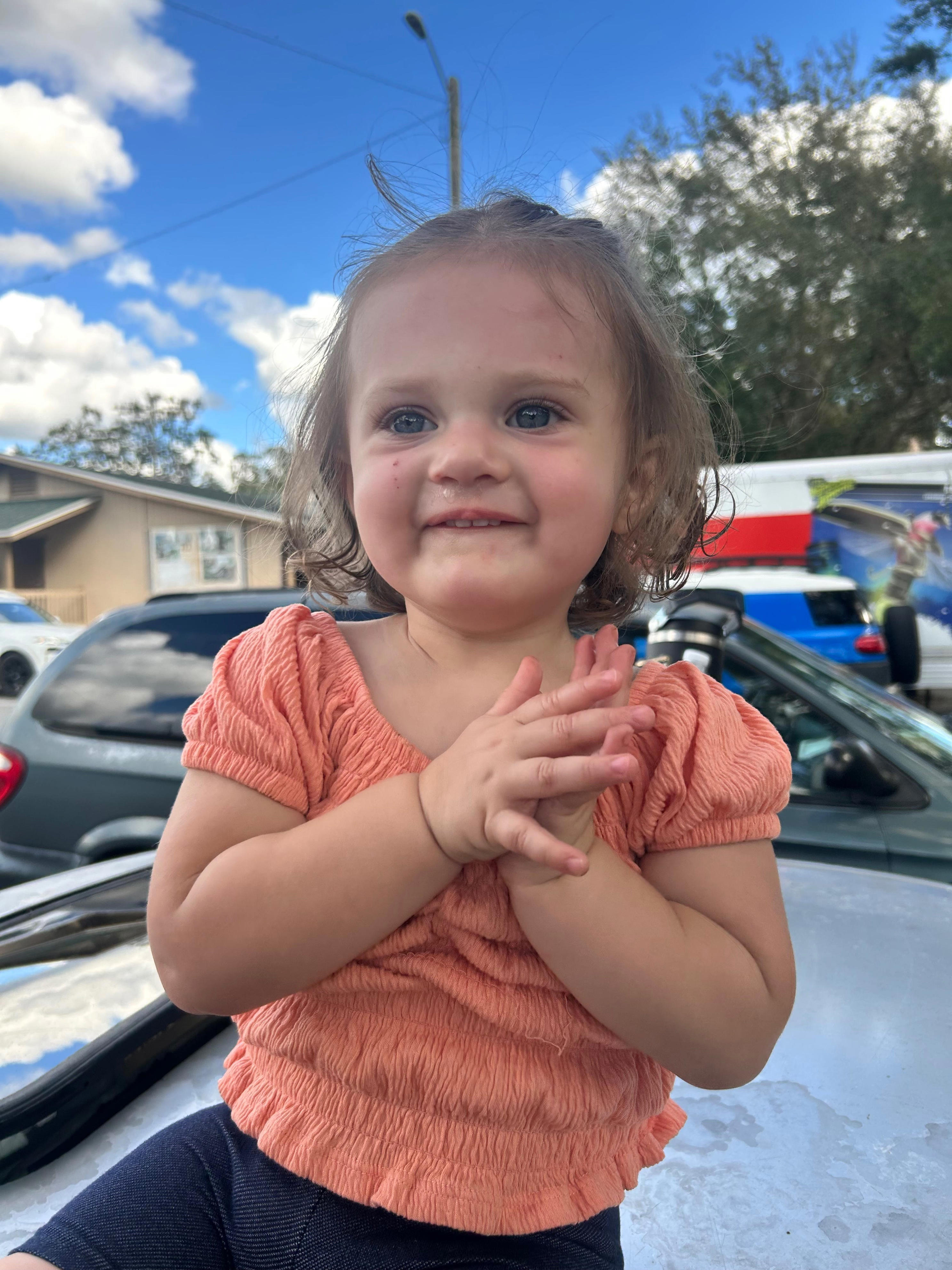 Safety group calls for blind spot cameras after child's NSB death