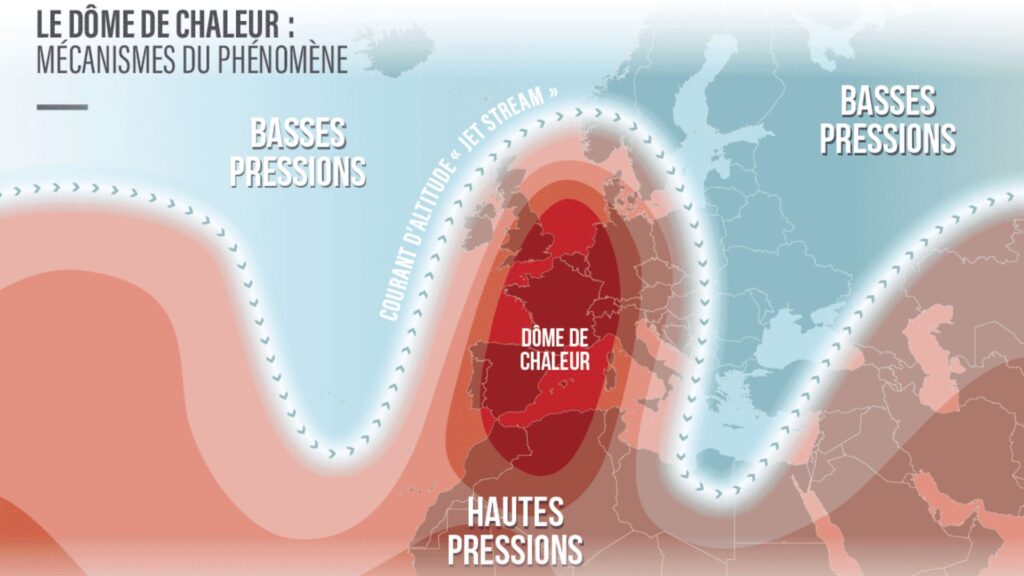 Canicule, vague ou dôme de chaleur : quelle est la différence