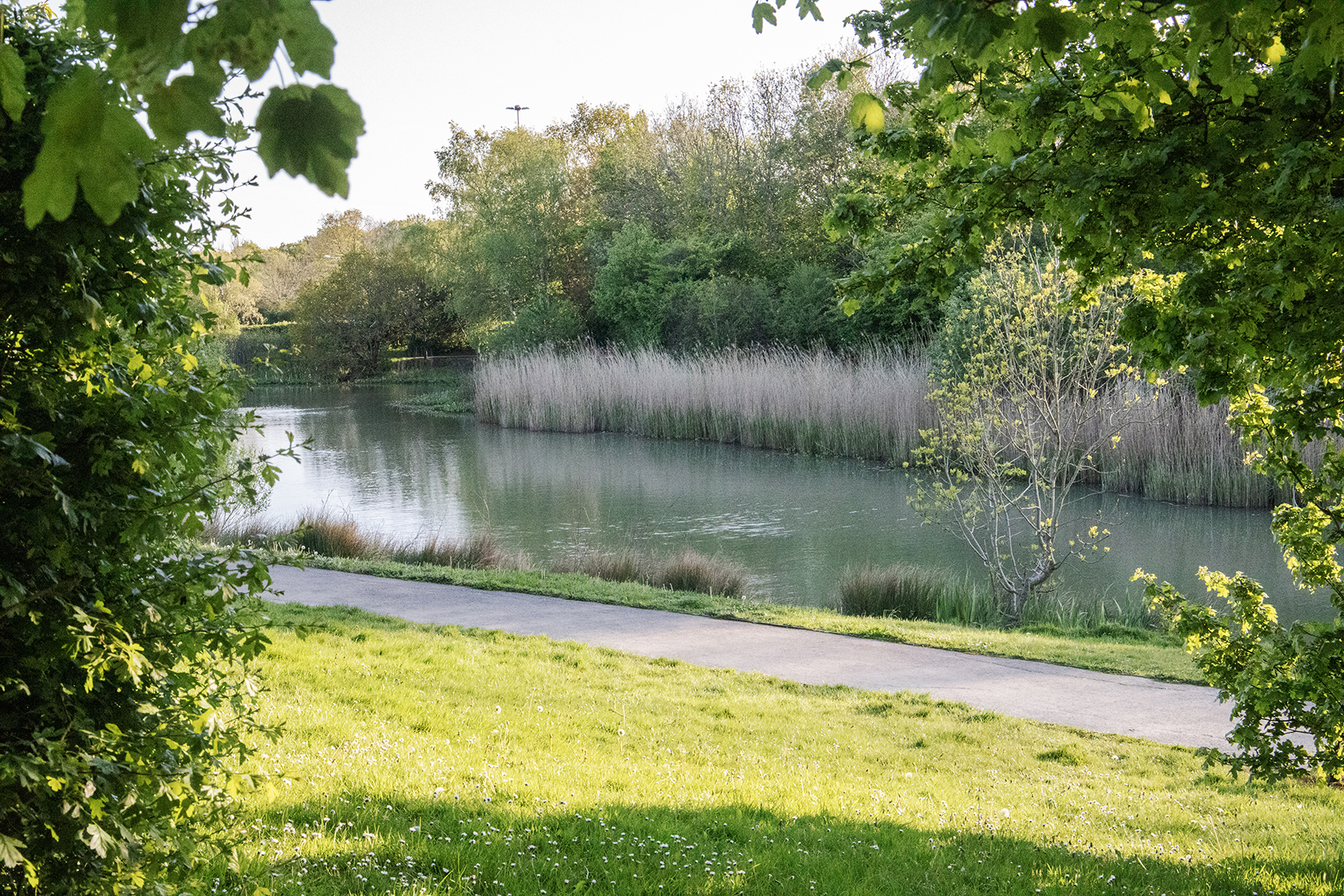 Residents encouraged to make the most of Hailsham Country Park this summer