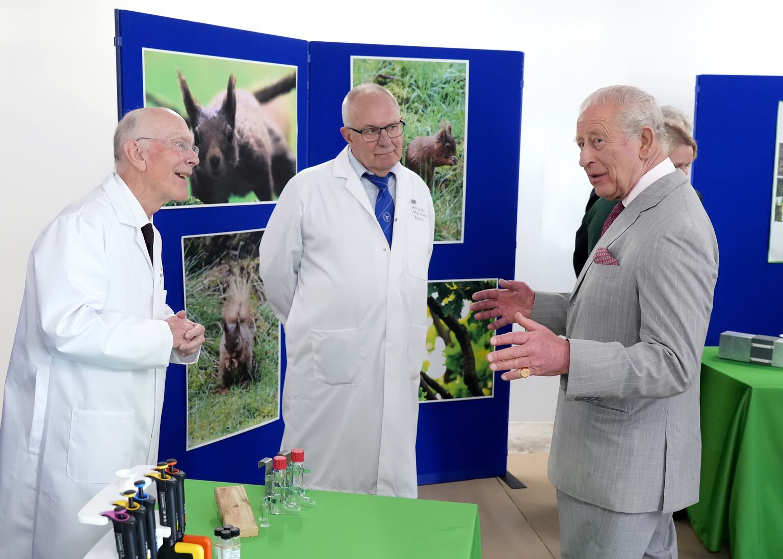 King praised for his understanding of 'harmony with nature' at squirrel ...
