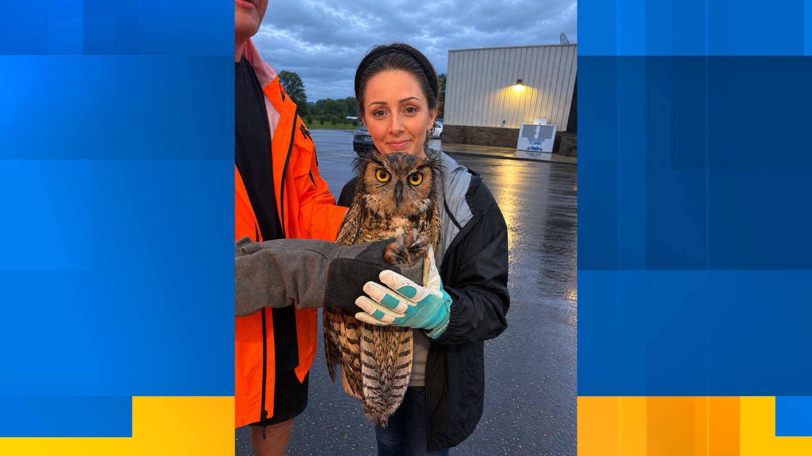 Monroe County dispatcher credited with saving trapped owl