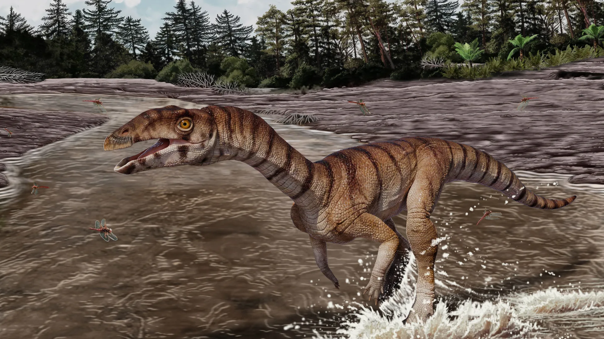 Newly discovered crocodile ancestor had body similar to an ostrich and ...